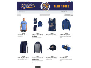 Webstores Simple | Makes launching & managing online stores SIMPLE!